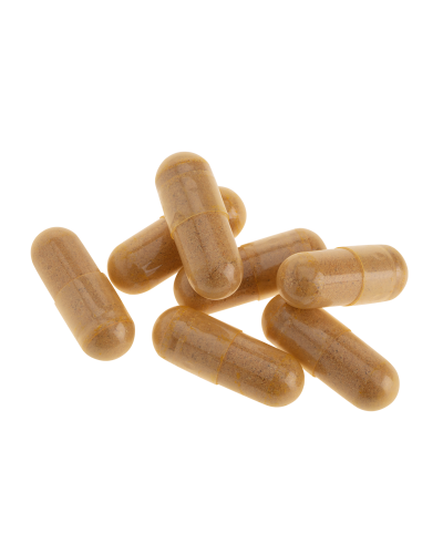 Kapparest | Wirkung & Vorteile | Energetica Natura